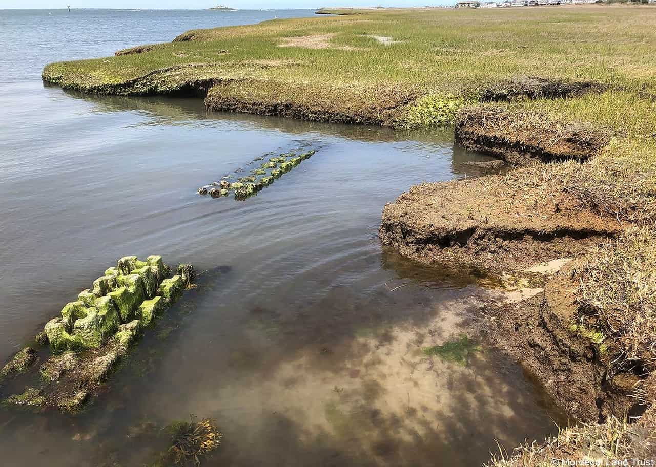 Oyster Castles & Marsh Sills - Mordecai Land Trust